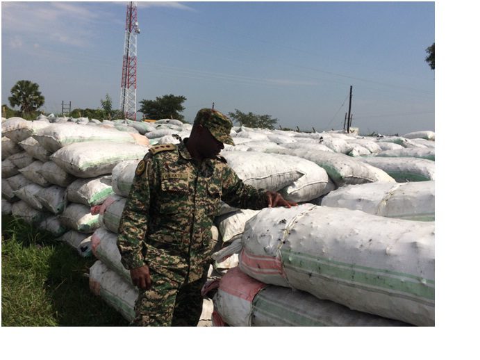 UGANDA: $ 5.10M WORLD BANK GRANTS REVITALIZATION OF AGRICULTURAL ...